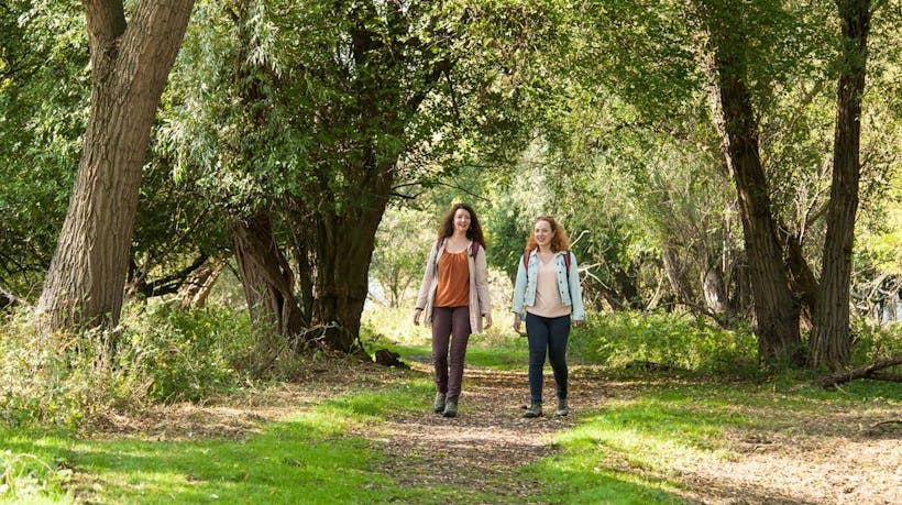 Boswachterspad Bergse Bossen | Zuid-Hollands Landschap