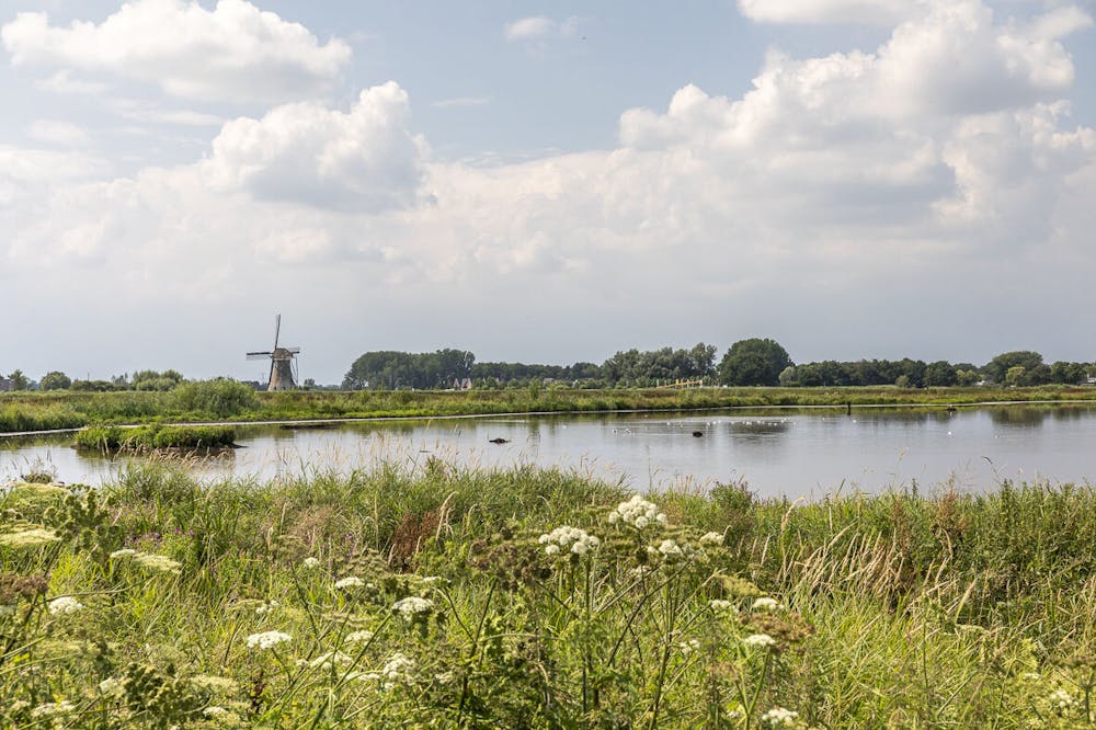 Fietsen Rotterdam | Zuid-Hollands Landschap