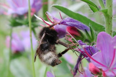 Konijnenroute | Zuid-Hollands Landschap