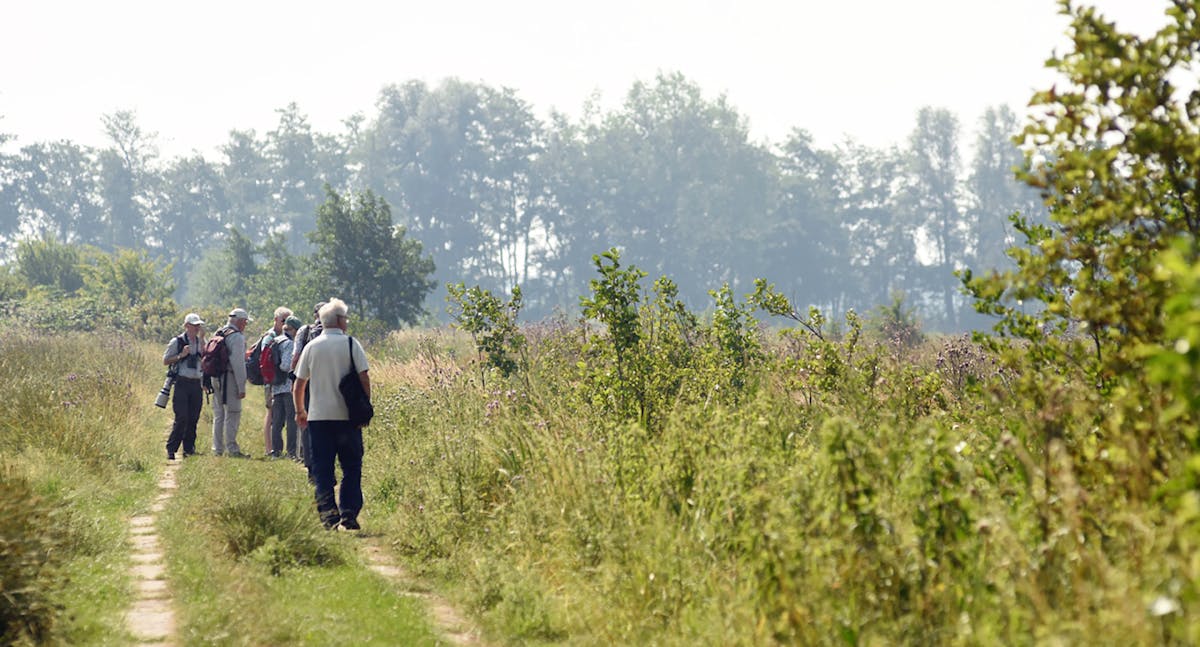 Polder Achthoven | Zuid-Hollands Landschap