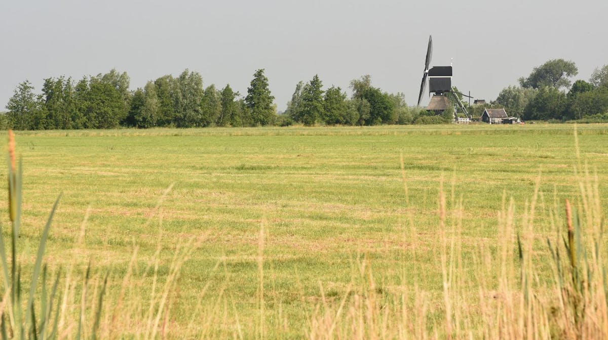 Polder Lakerveld | Zuid-Hollands Landschap