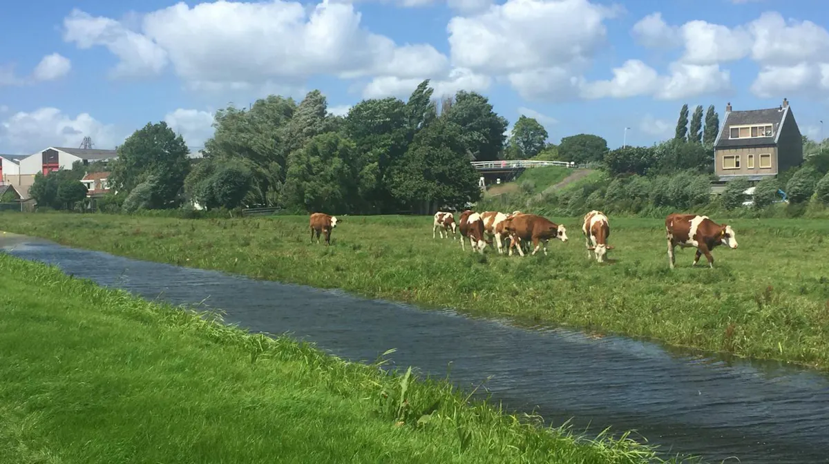 Veenweidepark | Zuid-Hollands Landschap