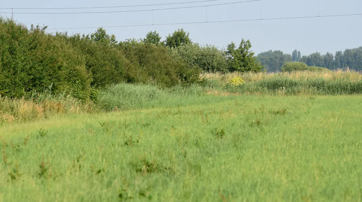 Kedichem | Zuid-Hollands Landschap