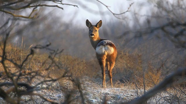Groot geven aan de natuur | Zuid-Hollands Landschap