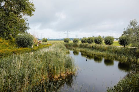 Voorbeelden uit de praktijk | Zuid-Hollands Landschap