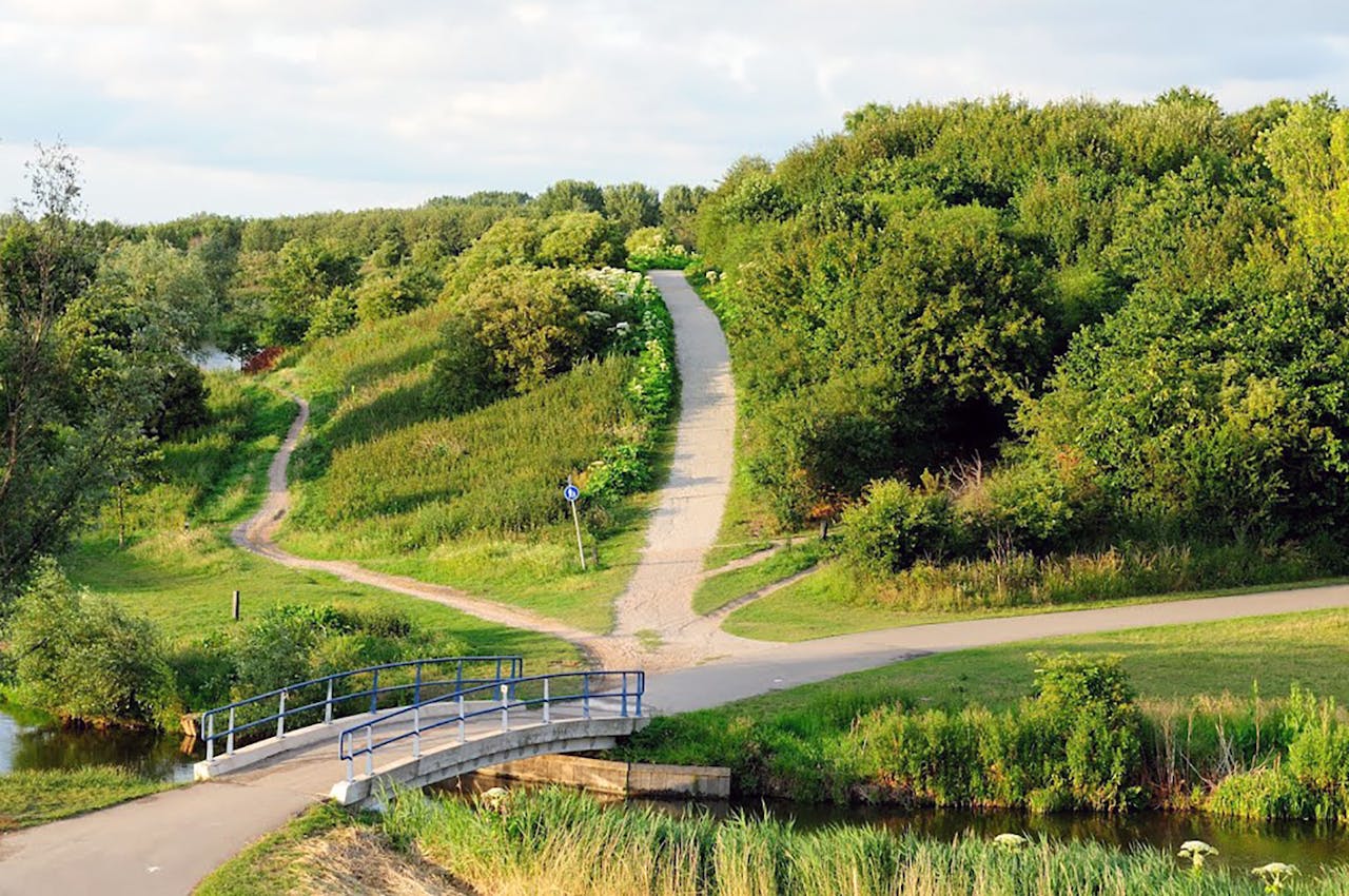 Boswachterspad Bergse Bossen | Zuid-Hollands Landschap