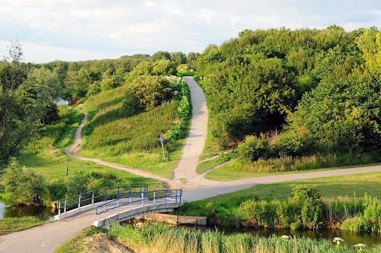 Boswachterspad Bergse Bossen | Zuid-Hollands Landschap