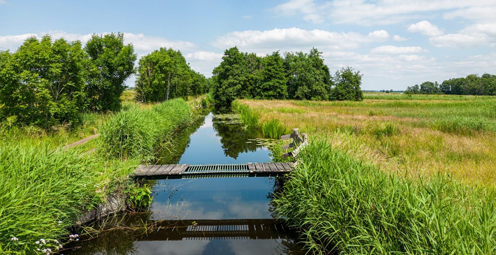 Polder de Nesse | Zuid-Hollands Landschap