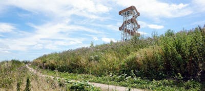 Boswachterspad Bergse Bossen | Zuid-Hollands Landschap