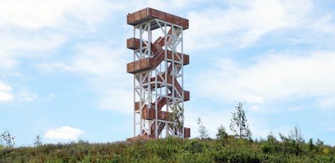 Boswachterspad Bergse Bossen | Zuid-Hollands Landschap