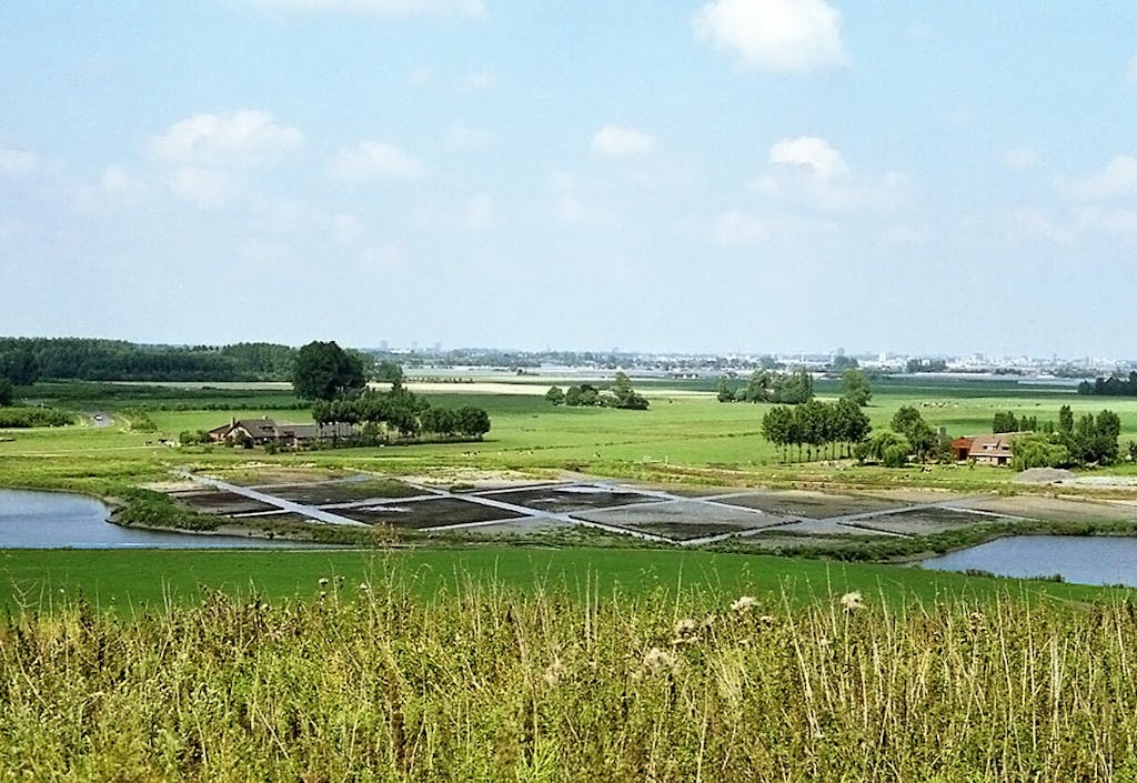 Boswachterspad Bergse Bossen | Zuid-Hollands Landschap