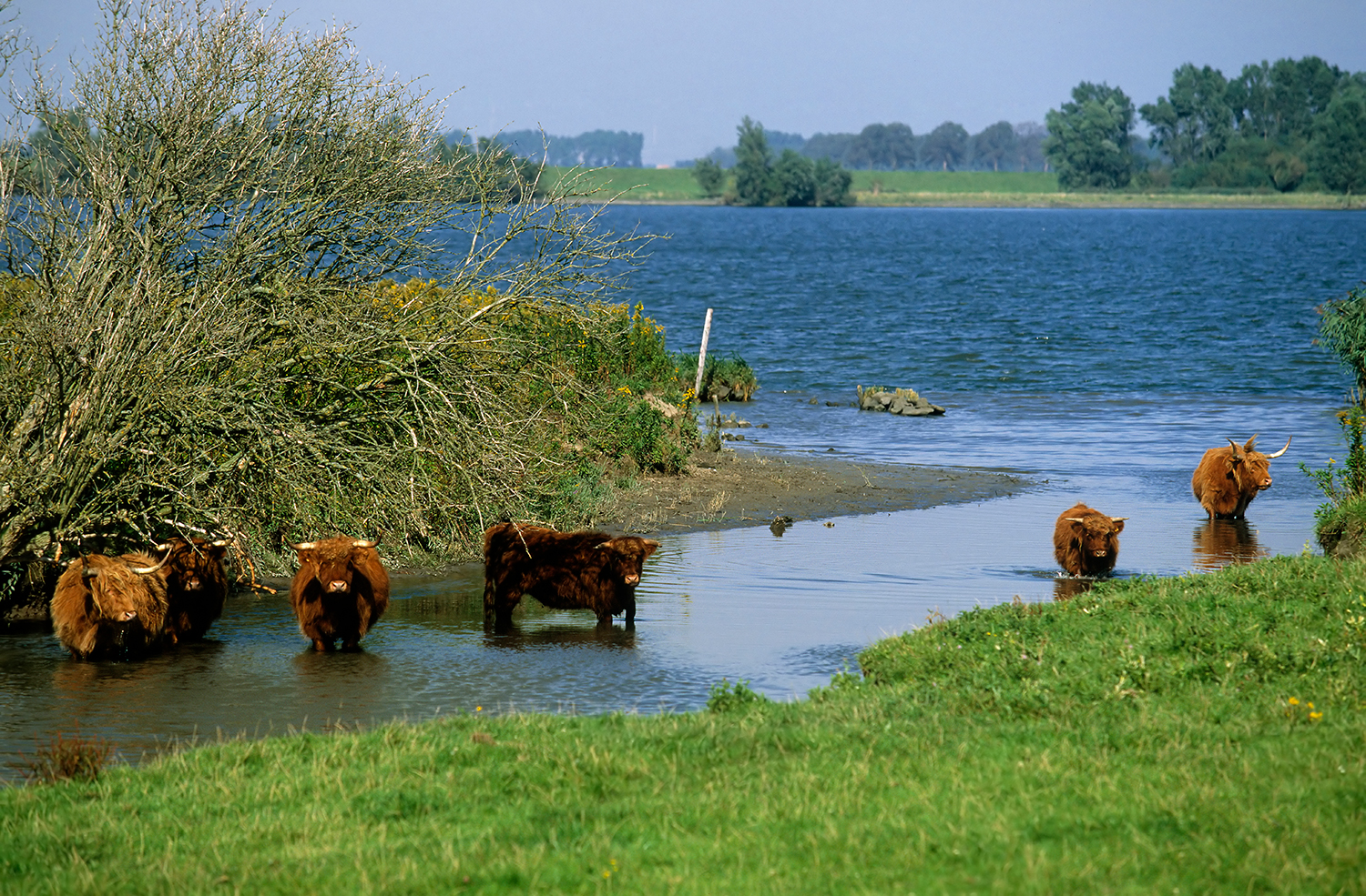Ontdek Strijensasroute | Zuid-Hollands Landschap