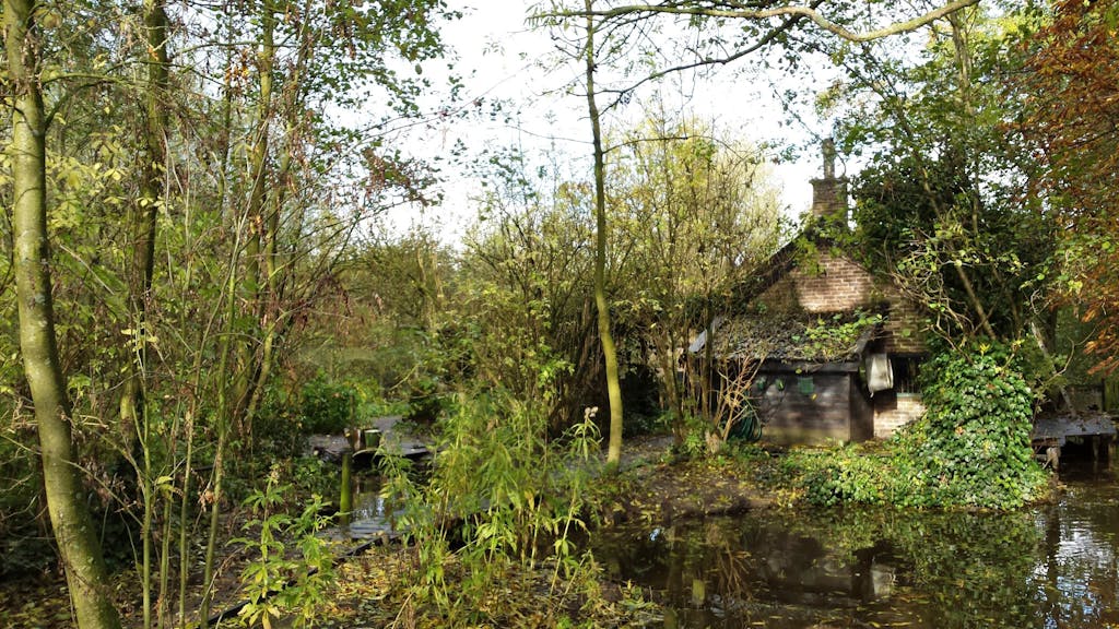 Eendenkooi Roodnat | Zuid-Hollands Landschap