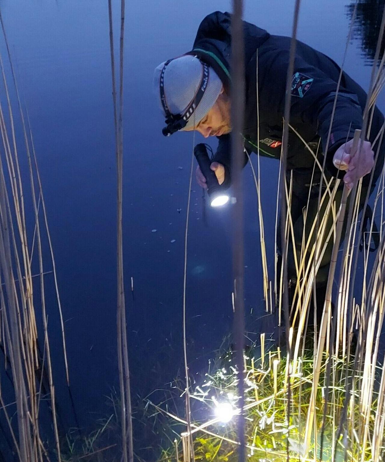 Heikikkers voelen zich weer thuis in de Krimpenerwaard | Zuid-Hollands ...
