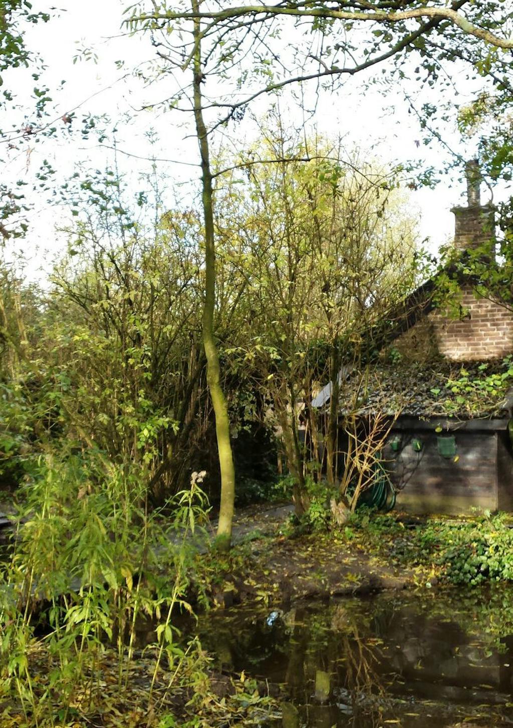 Hoera, we bestaan 90 jaar! | Zuid-Hollands Landschap